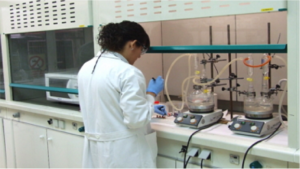 Chemical Synthesis and Purification of Quality Chemicals | Inkemia ...